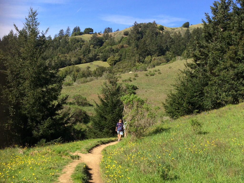 Mount Burdell - Visit Novato