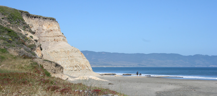 Point Reyes Shoreline - Visit Novato